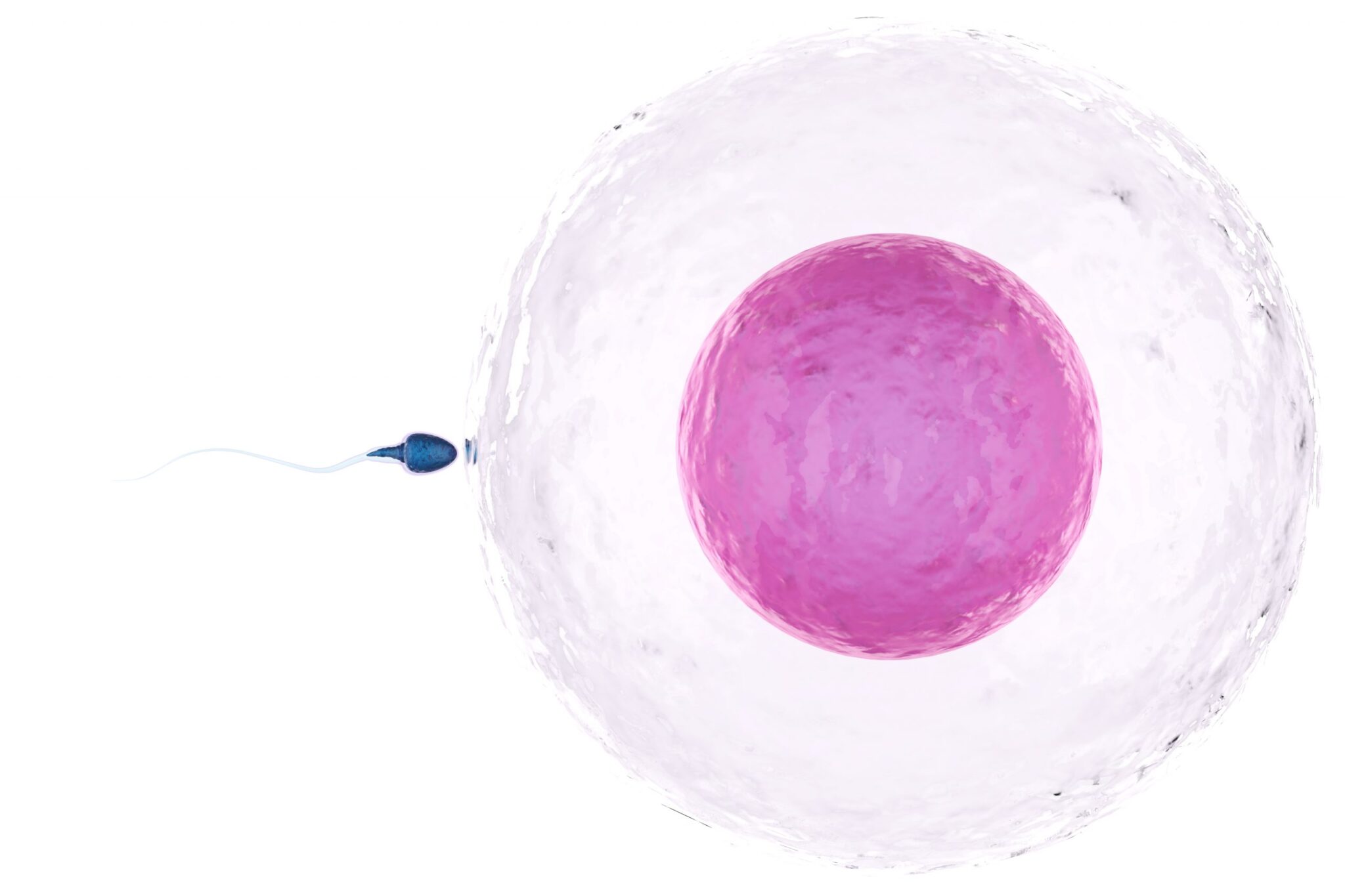 CRGH Fertility Clinic London | UK's Leading IVF Clinic